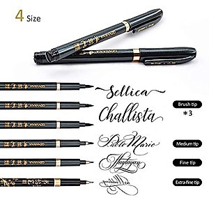 Rilanmit Hand Lettering Pens, Refillable Calligraphy Pens Brush Marker Pens Set Black, 4 Size for Writing, Painting, Drawing, Pack of 6