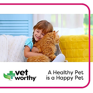 Vet Worthy Anti-Diarrhea for Cats - Cat Supplement to Help Relieve Diarrhea, Stomach Upset, and Discomfort - Pet Digestive Health Support with Kaolin and Pectin - 4oz
