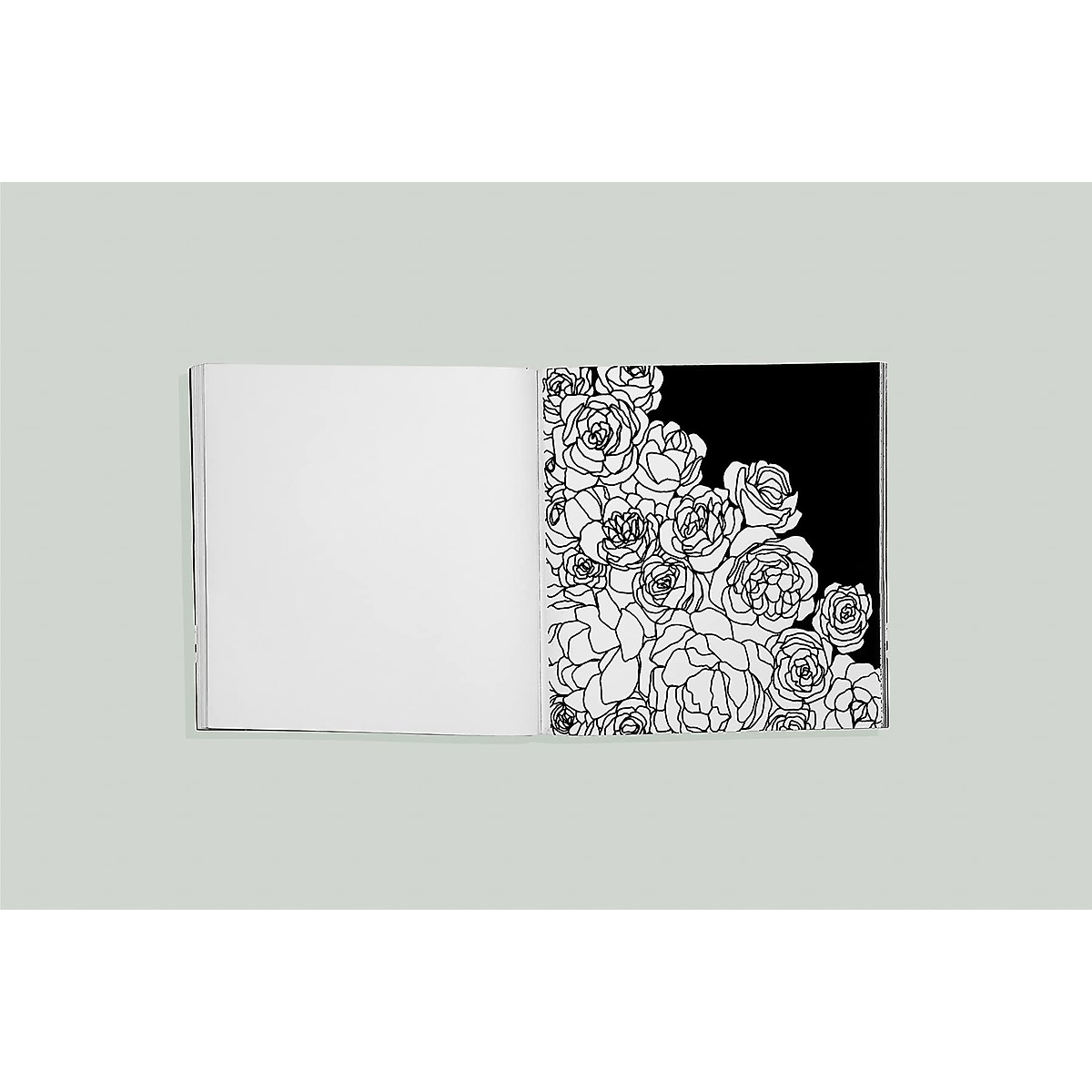 Bloom: A Flower Coloring Book
