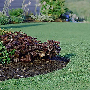 Outsidepride 2 lb. Perennial White Miniclover Dwarf, Small Leaved, Lawn Clover & Ground Cover Seeds