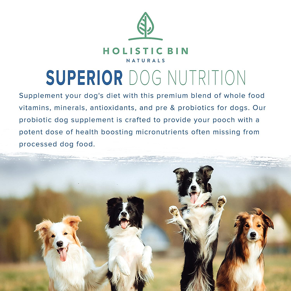 Canine Fermented Farm Superfood Dog Supplement | Vitamin & Mineral Rich Blend Packed with Dog Digestive Enzymes and Probiotics | Fermented Spinach, Pumpkin, Blueberry, Beets, & Turmeric for Dogs