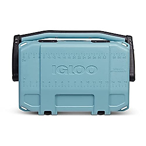 Igloo 25 Qt Celadon BMX Cooler