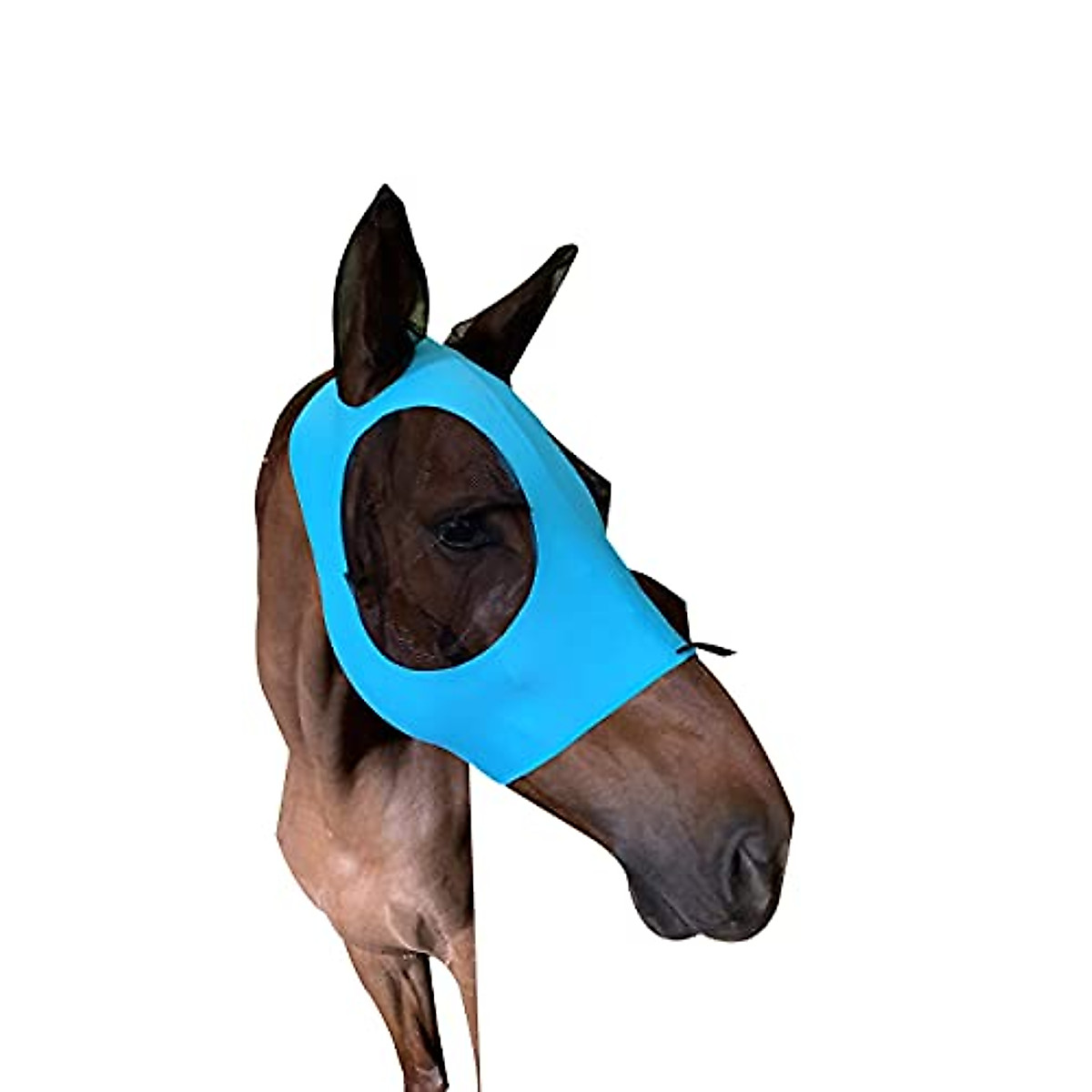 TGW RIDING Horse Fly Mask Super Comfort Horse Fly Mask Elasticity Fly Mask with Ears We Only Make Products That Horses Like (Pacific Blue, L)