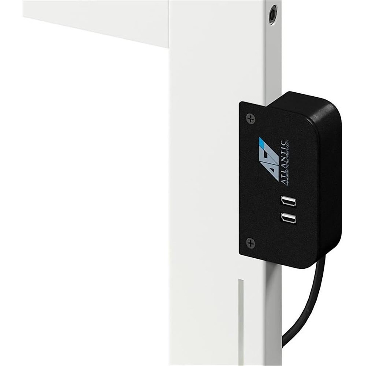 Leo & Lacey King Panel Headboard in White