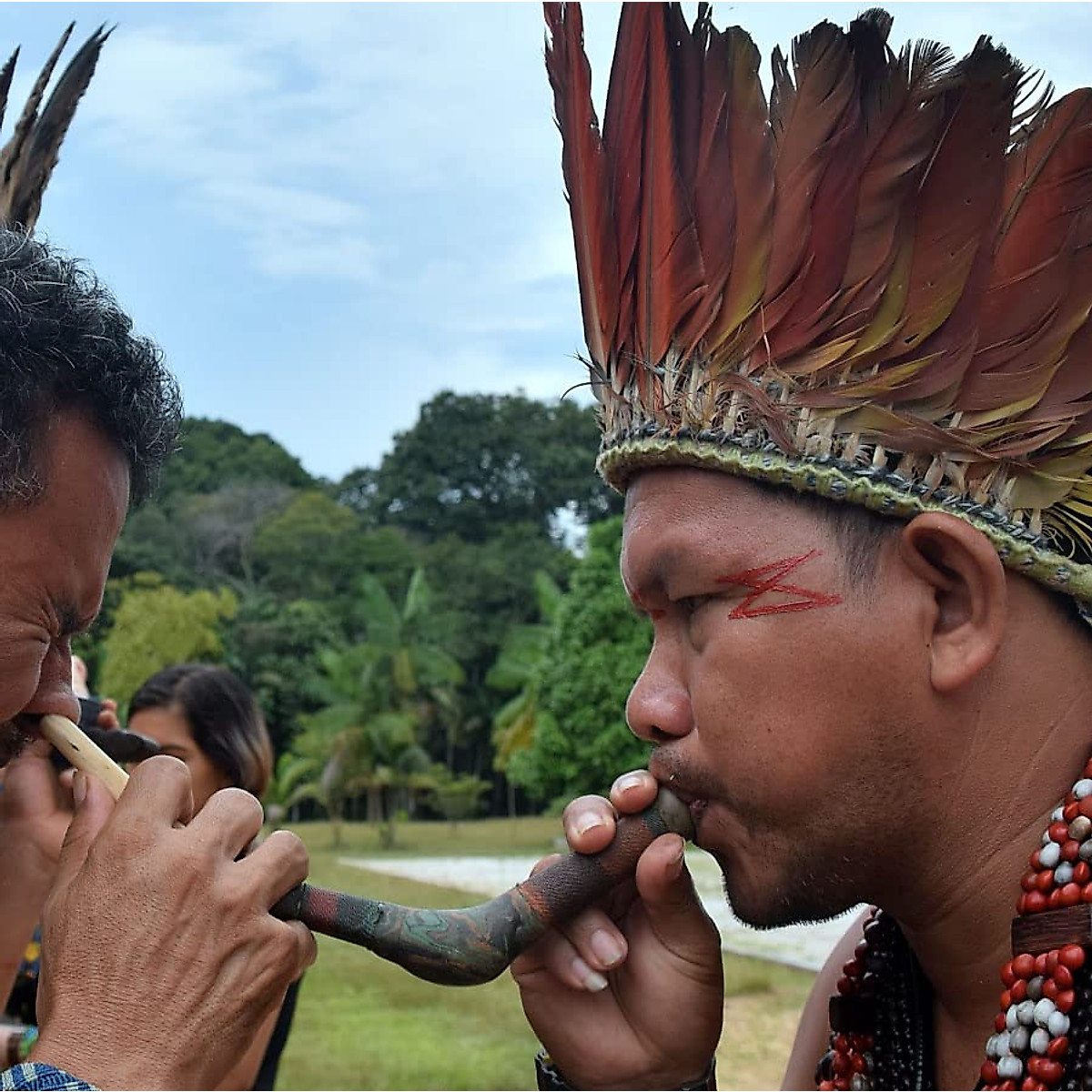 Tsunu Strong Indigenous Herbal Blend 5g