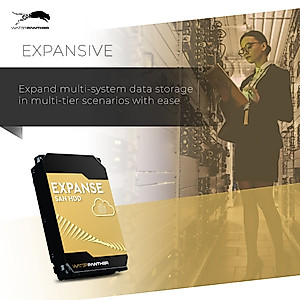 WP Expanse 20TB 7200 RPM 512e SATA Gen3 3.5-inch HDD | ECC PLP CMR | Enterprise Data Center SAN Hard Disk Drive - WESA5SLC0200D (Renewed)