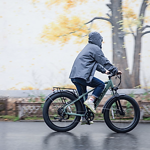 HILAND Electric Mountain Bike for Adults, 750 Watt 48 Volt Motor Off Road Electric Bicycle, Mens 26" 4.0 Fat Tire E-MTB High Speed 40km/h Bike