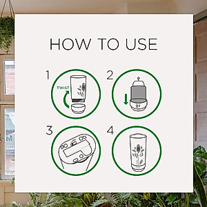 Air Wick Automatic Air Freshener Spray Refill, 2ct, Lavender & Chamomile, Odor Neutralization, Essential Oils