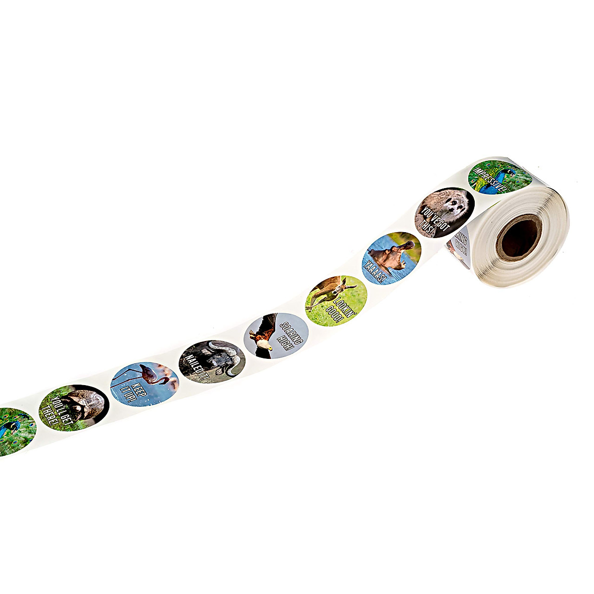 Motivational Animal Stickers / 500 Students Patients Incentive Labels Roll / 1.5" Funny Inspirational Animal School Clinic Reward Sticker / 8 Humorous Designs/Made in The USA