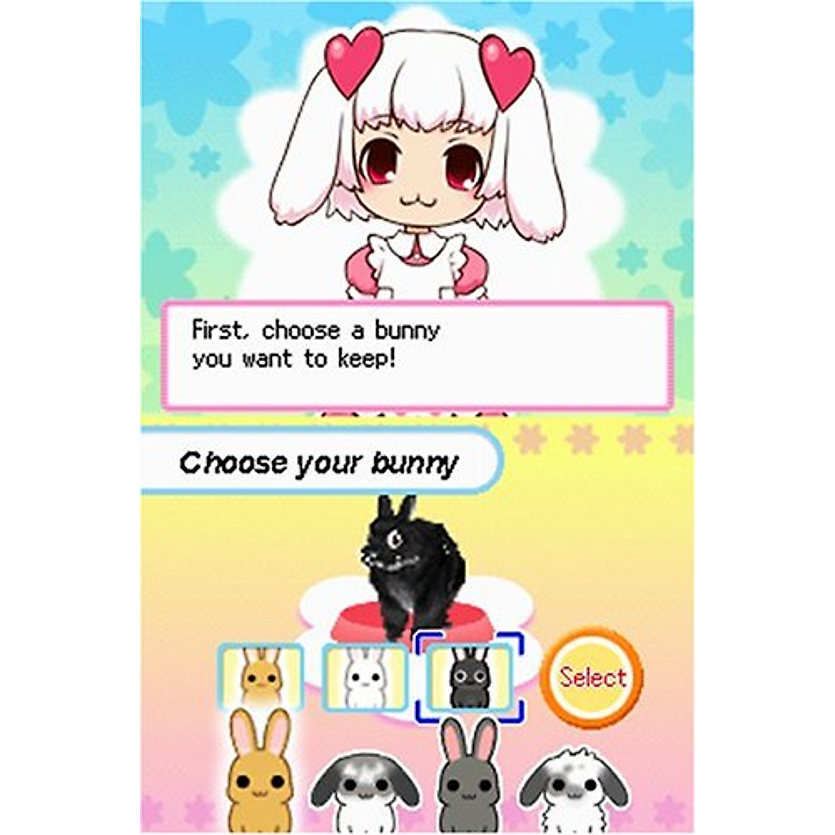 Petz Bunnyz - Nintendo DS