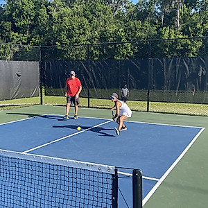 Dink Tech Pickleball Paddles Set – Pickleball Set of 4 Graphite Pickleball Paddles, 4 Pickleball Balls for Indoor or Outdoor Play. Pickle Ball Set – 4 Racquets, 4 Pickleballs, 1 Bag - USAPA Standard