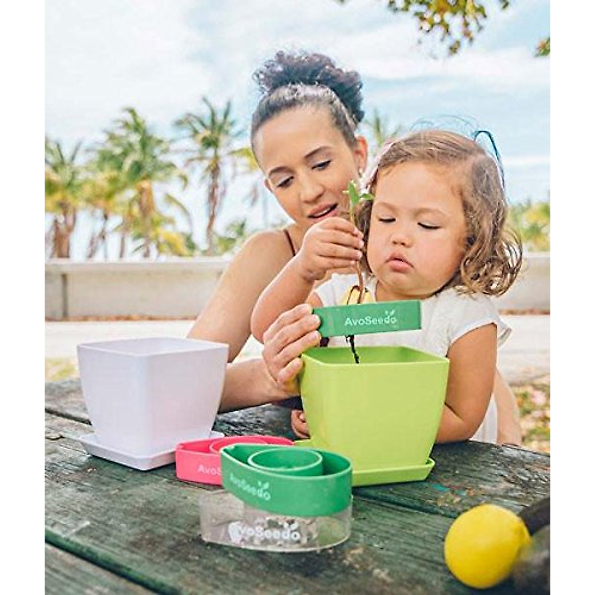 AvoSeedo Avocado Tree Growing Kit with Pot, Green & White, Practical Gifts for Women, Mom, Sister, Best Friend & Kids, Plant Indoors with Novelty Pit Grower Boat & Kitchen Garden Seed Starter