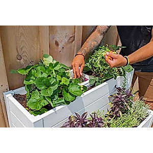 Vita Classic 33 inch x 33 inch Tiered Cascading Keyhole Garden with Composting Basket, White Vinyl, PVC, BPA and Pthalate Free, VT17109