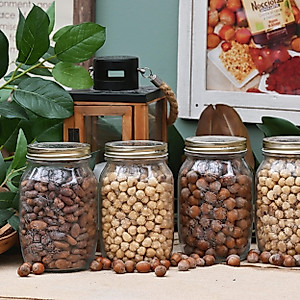 Bormioli Rocco naaa Rocco Quattro Stagioni Small Glass Mason 5 Ounce Mini Jars (12-Pack), 12 Pack