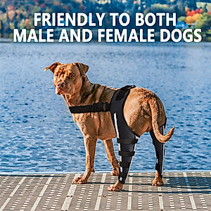 MewMewLand Dog Knee Braces for Pain CCL, ACL, Arthritis, Extra Support, Dog ACL Brace Hind Legs with Metal Side Stabilizers, Black Medium