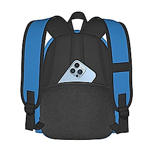 ISHTI Kids Backpack for Boys & Girls, Backpack with Multiple Pockets for Elementary School, Waterproof Backpacks Student School Bags Lightweight Backpacks for Toddler Kids Kindergarten…