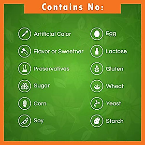 Best Naturals Broccoli Sprouts Extract, 1000 mg, 120 Count