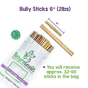 Nature Gnaws Bully Sticks for Dogs - Premium Natural Beef Dental Bones - Long Lasting Dog Chew Treats for Aggressive Chewers - Rawhide Free - 5-6 Inch