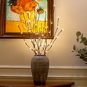 PEIDUO Lighted Willow Branch 30Inch 3PK 60L LED Pathway Lights for Christmas Room Decoration Indoor Apartment Outdoor Stake Lights for Lawn