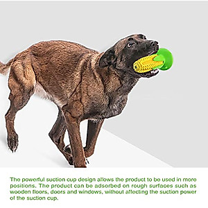 Carllg Puppy Teething Chew Toys, Dog Chew Toys - Corn Stick Tough Toys for Training and Cleaning Teeth, Squeaky Suction Cup Toothbrush Interactive Toy for Small Medium Dog