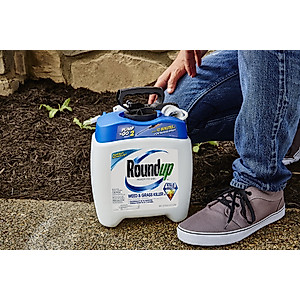 Roundup Ready-To-Use Weed & Grass Killer III -- with Pump 'N Go 2 Sprayer, Use in & Around Vegetable Gardens, Tree Rings, Flower Beds, Patios & More, Kills to the Root, 1.33 gal.
