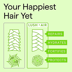 Lush Air 𝗪𝗜𝗡𝗡𝗘𝗥 𝟮𝟬𝟮𝟯* Hair Mask for Dry and Damaged Hair, Hair Treatment for Nourishing and Hydrating Dry Hair, Vegan and Cruelty Free, 8 Fl Oz