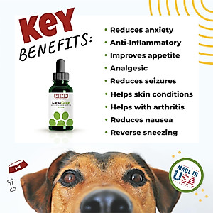 (2 Pack) Latocann Hemp Oil for Dogs and Cats: Natural Relief for Pet Anxiety, Joint Pain, and Digestive Health for Dogs and Cats