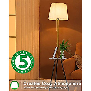 bulbeats Tripod Floor Lamp with Shelf, Side End Table with Lamp, 3000K E26 LED Bulb Included, Modern Standing Lamp with Pull Chain Switch for Living Room Bedroom