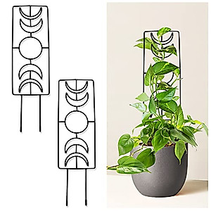 Tuitessine Moon Phase Trellis Indoor Plant Trellis Climbing Plant Small Garden Trellis for Potted Plant Houseplant Metal Wire Trellis Pot Trellis 2 Packs 14.1’’