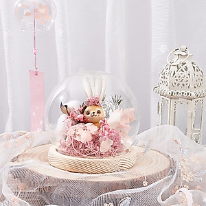 PH PandaHall Glass Display Showcase with Base Decorative Display Dome Miniature Case Snowglobe for Fairy Lights Plants Flower Craft Crown Display Crystal Beach Christmas Halloween Decoration 3x4inch