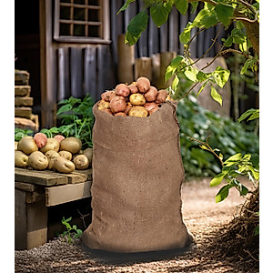 COTTON CRAFT Burlap Potato Sack Bag - Set of 4 Jute Potato Sack Race Bags - Large 24x39 Adult & Kids Sturdy Easter Outdoor Games Birthday Block Party Toy Storage