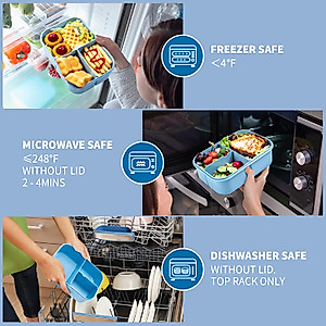 MISS BIG Bento Box,Bento Box Adult Lunch Box,Ideal Leak Proof Lunch Box Containers,Mom’s Choice Kids Lunch Box,No BPAs and No Chemical Dyes,Microwave and Dishwasher Safe Bento Lunch Box Orange & Bl