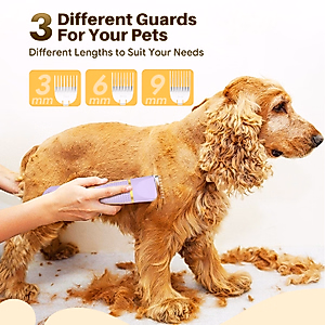 AIBORS Small Dog Grooming Kit, 4 in 1 Electric Dog Trimmer for Grooming, Low Noise Dog Nail Trimmer, Cordless Pet Clippers for Dogs Cats, Grooming Paws, Eyes, Ears, Face, Hip Hairl (Purple)