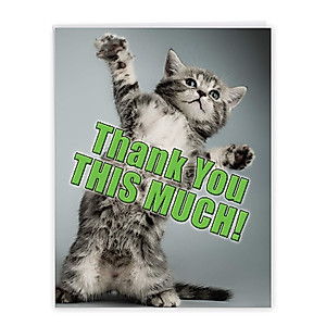 NobleWorks - Jumbo Thank You Card with Envelope (8.5 x 11 Inch), Animal Notecard, Thankful Friend - This Much Kitten J3612