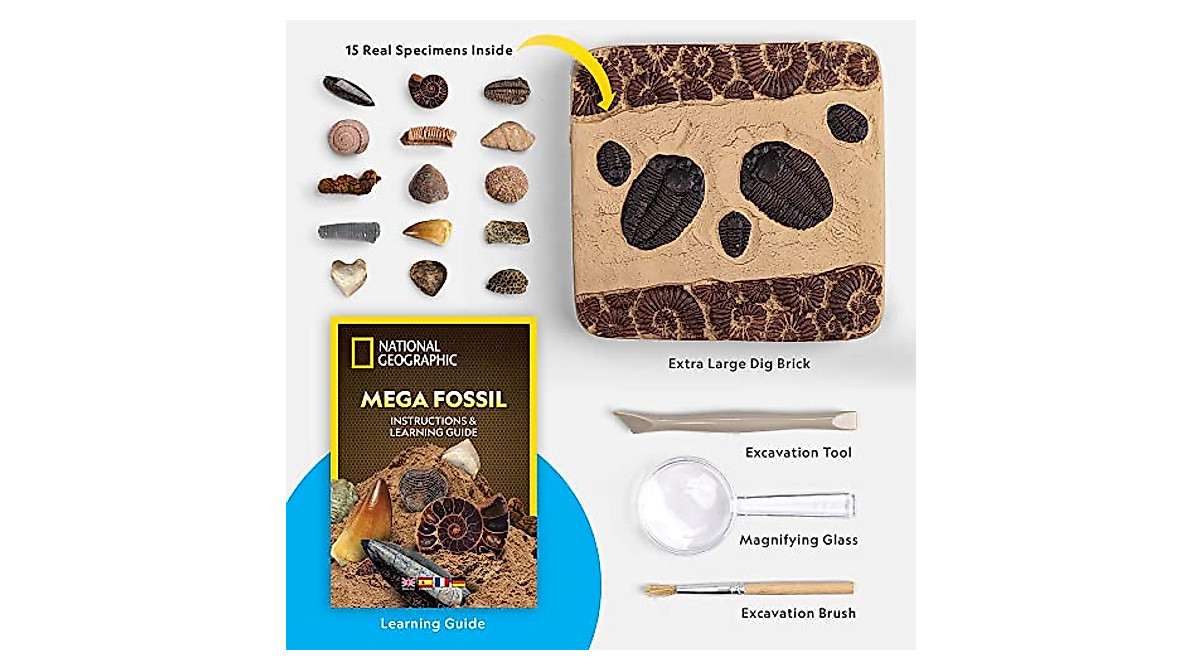 Mega Fossil Dig Kit by National Geographic - STEM Educational Toy for Kids