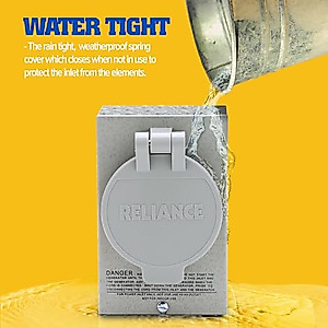 Reliance Controls Corporation PB20 20-Amp NEMA 3R Power Inlet Box for Generators Up to 5,000 Running Watts,Gray