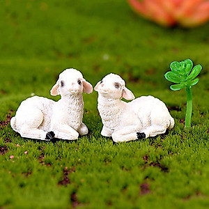 Yardwe 6pcs Miniature Sheep Figurines Mini Resin Herd of Sheeps Figures Tiny Lambs Cupcake Toppers Dollhouse Bonsai Micro Landscape Plant Pot Decor