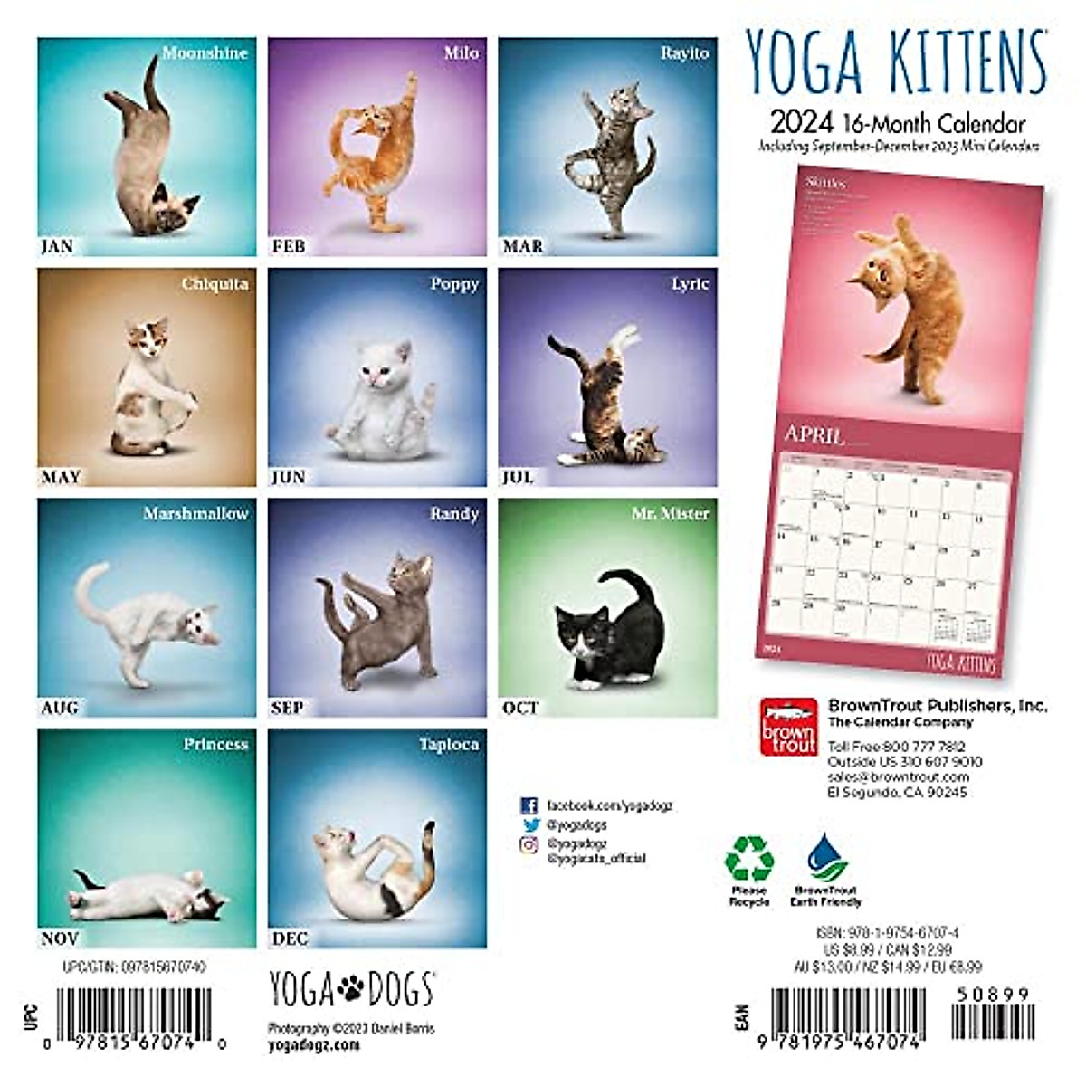 Yoga Kittens OFFICIAL | 2024 7 x 14 Inch Monthly Mini Wall Calendar | BrownTrout | Animals Humor Cats Feline
