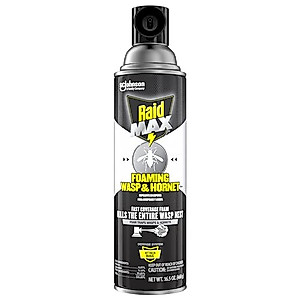 Raid Max Foaming Wasp & Hornet Killer, Fast Coverage Foam, Bug Killer Kills The Entire Nest, 16.5 oz