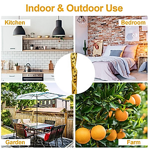 40 Pack Fly Strips Outdoor Sticky Hanging, Bug & Fruit Flies Traps Indoor Paper Rolls for Kitchen, Fly Gnat Ribbons Tape Killer Catcher for Home, Flying Insect Trap for Winged Insect, Mosquito