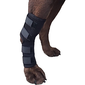 ceepdoogle Dog Extra Supportive Canine Rear Leg Hock Joint Compression Wrap for Recovery Protection Sprain and Injury Prevention Hind Ankle Brace with Knee Support for Dogs Extra Large