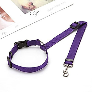 TREXDP Pet Back Seat Collar Adjustable Strap Kitten Dog Collar Pet Accessories