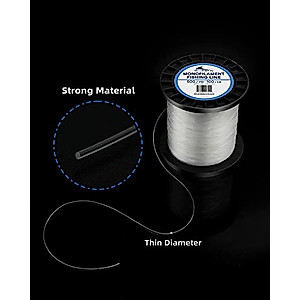 BLUEWING Monofilament Fishing Line Clear Invisible Thin Diameter Fishing String Mono Fishing Line, Dia.0.9mm*500YD*100LB