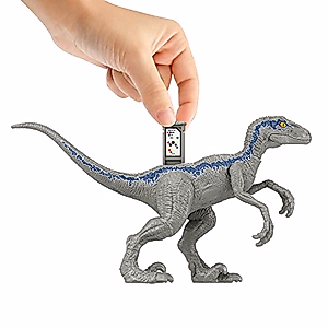 Jurassic World Dominion 3 Pack Figures & Dinosaurs, Owen Grady Motorcycle Yangchuanosaurus & Blue, Helmet & Tranquilizer, Ages 4 Years & Up, Multicolor (HLP79)