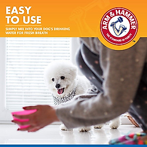 Arm & Hammer for Pets Dental Water Additive for Dogs, Tartar Control | Dog Dental Care Reduces Plaque & Tartar Buildup Without Brushing | 16 Ounces - 24 Pack, Odorless and Flavorless