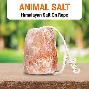 Yield Titan Himalayan Pink Salt 14 LB, Salt Licks for Animals Licking Block for Horses, Cows, Deer, and Other Livestock - Rope Included 3.5Lbs Each(4 Qty)