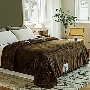 JET'S HOME Heated Blanket Queen 84"x90" - ETL&FCC Certified Flannel Electric Blanket Throw Machine Washable Heating Blanket with 4 Heating Levels 10 Hours Auto-Off Overheating Protection (Pinecone)