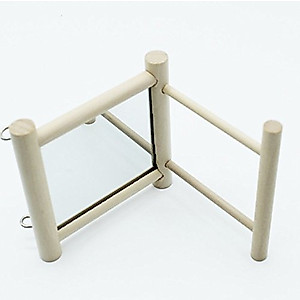 Bird Mirror Bird Swing, Parrot Cage Toys,Swing Hanging Play with Mirror for Macaw African Greys Parakeet Cockatoo Cockatiel Conure Lovebirds Canaries by Old Tjikko，1 PC (3.7x3.5 x3.5inch)