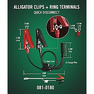 Battery Tender 3 AMP Battery Charger and Maintainer - Automotive Switchable 12V or 6V Smart Automatic for Cars SUVs and Trucks - Lead Acid, AGM, Gel, & Lithium Battery Charger - 022-0202-COS