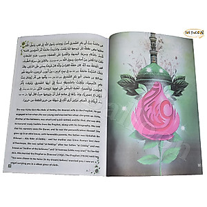 أمهات المؤمنين دار روان Set of 10 Books Arabic Children Toddlers Kids The Wives of The Prophet Peace Be Upon Him Preschool & Kindergarten Classrooms Stories Arabic Version Book Paperback - DAR Rawan